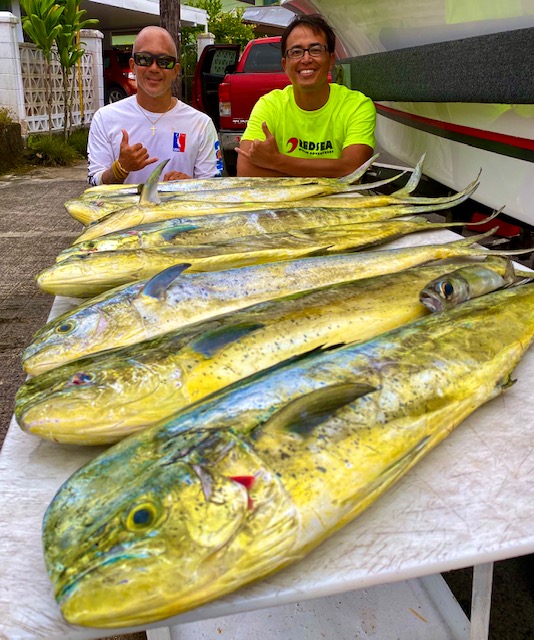 Red Sea Ocean Adventures: 2020