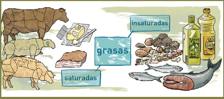 ¿ Sabes lo Que ComeS ?: GRASAS TRANS