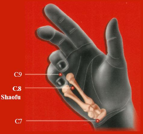 Blog Le Souffle du Menhir: C8 Shao Fu / Shào Fǔ 少府 Palais du shao (yin )