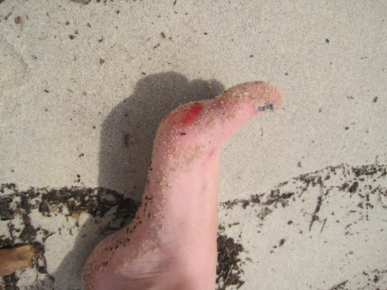 The Misadventures of Being a Southern "Lady": beautiful Louisiana