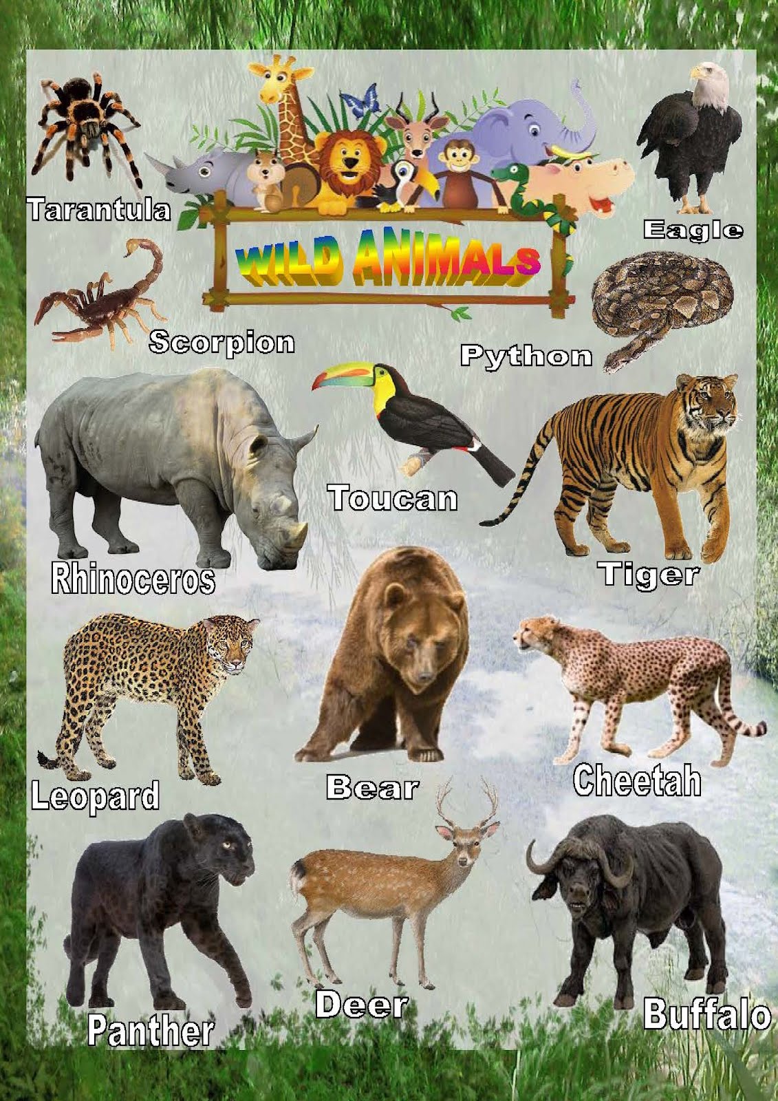 BILINGUAL AL-YUSSANA: WILD ANIMALS