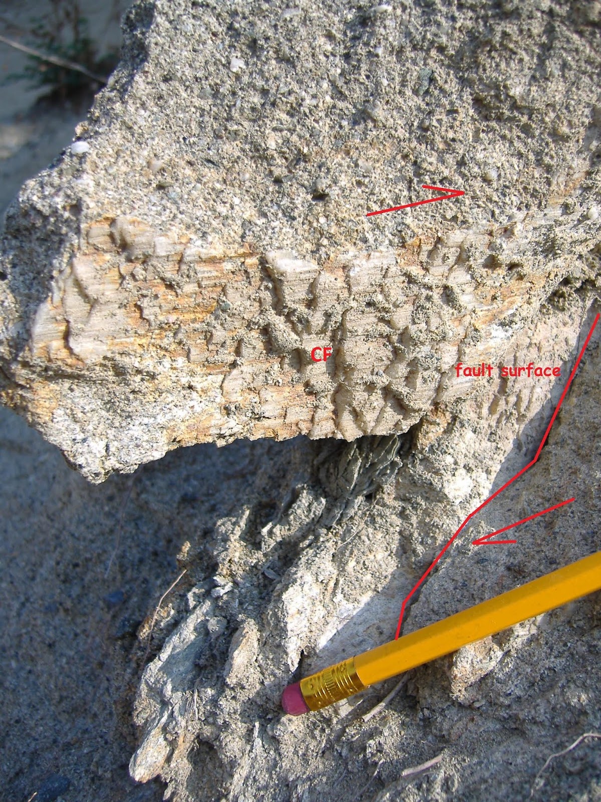 Faglie: esempi dal rilevamento geologico