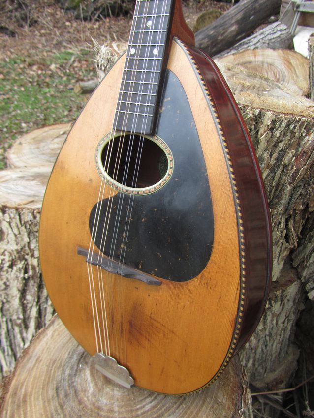 c.1916 Weymann Style 20 Mandolute Mandolin