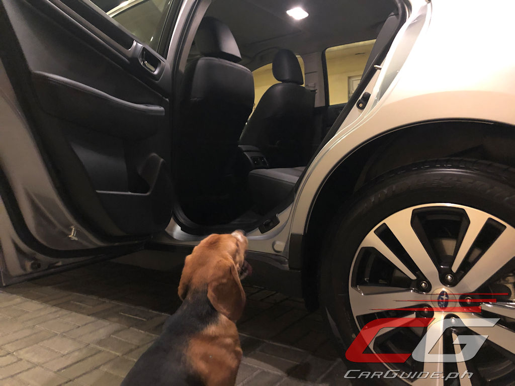 4 Reasons That Show Subaru Loves Dogs CarGuide PH Philippine Car 4-reasons-that-show-subaru-loves-dogs-carguide-ph-philippine-car