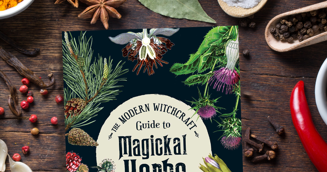 Flying The Hedge Book Review The Modern Witchcraft Guide To Magickal