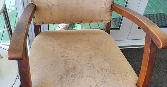 Fish Chair Upcycle...