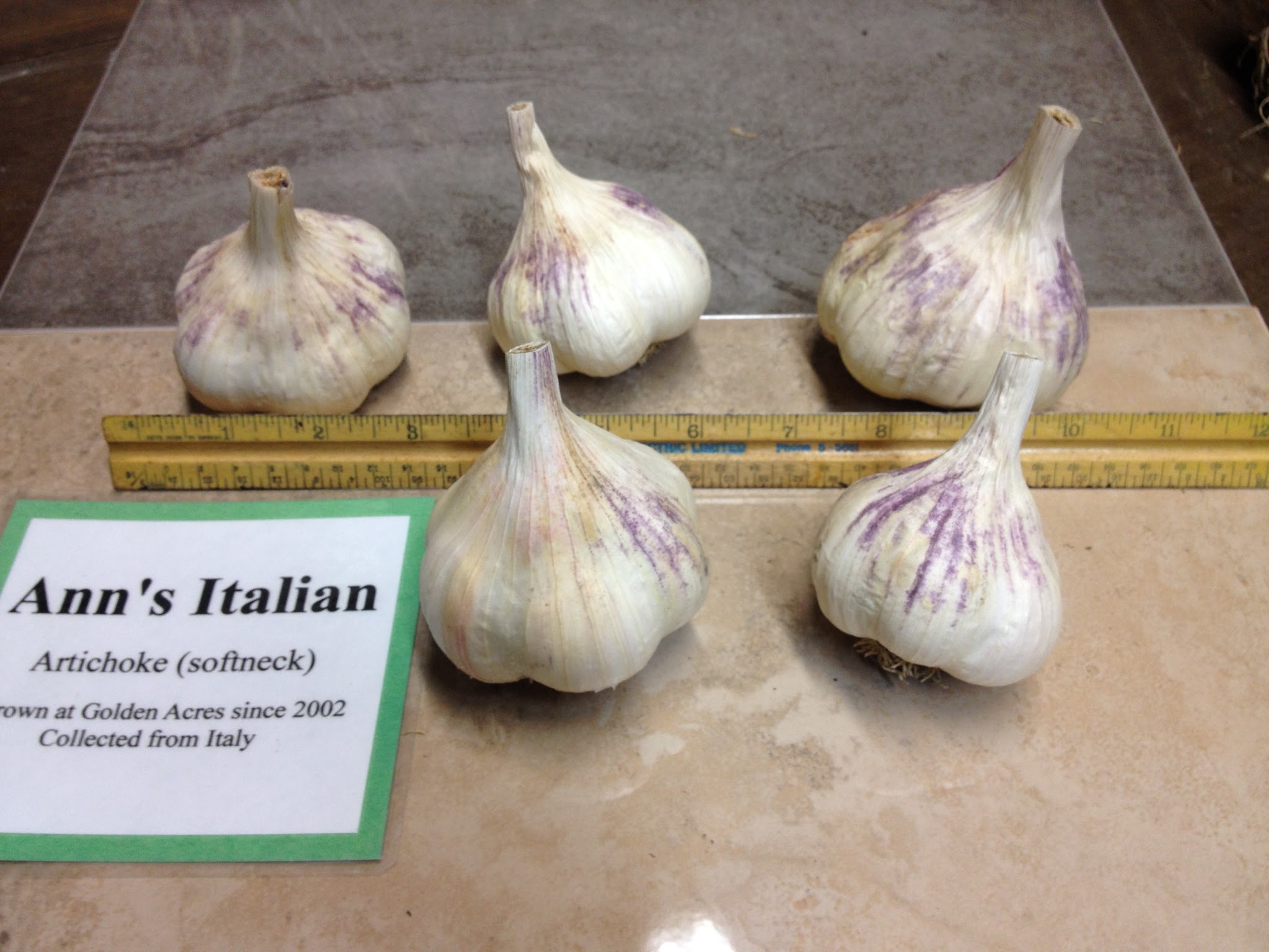 Growing Ontario Garlic: Garlic Growing Guide