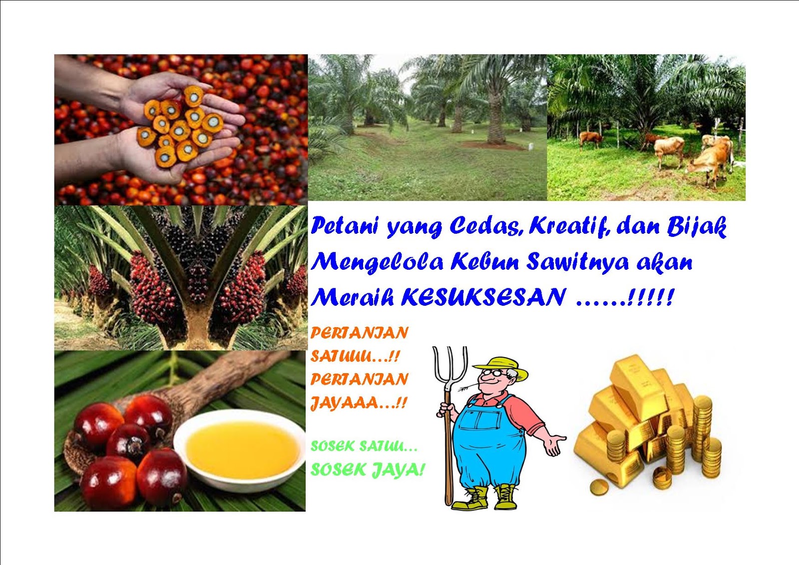 kelapa Sawit: Folder, Leaflet, dan Poster
