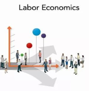 Concept Labor Economics - Economist
