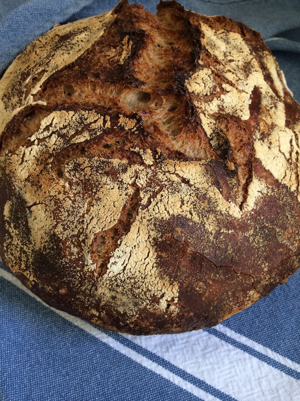 Nana's Blue and White Dishes: Field Blend Artisan Bread