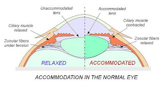 Optometry: February 2018