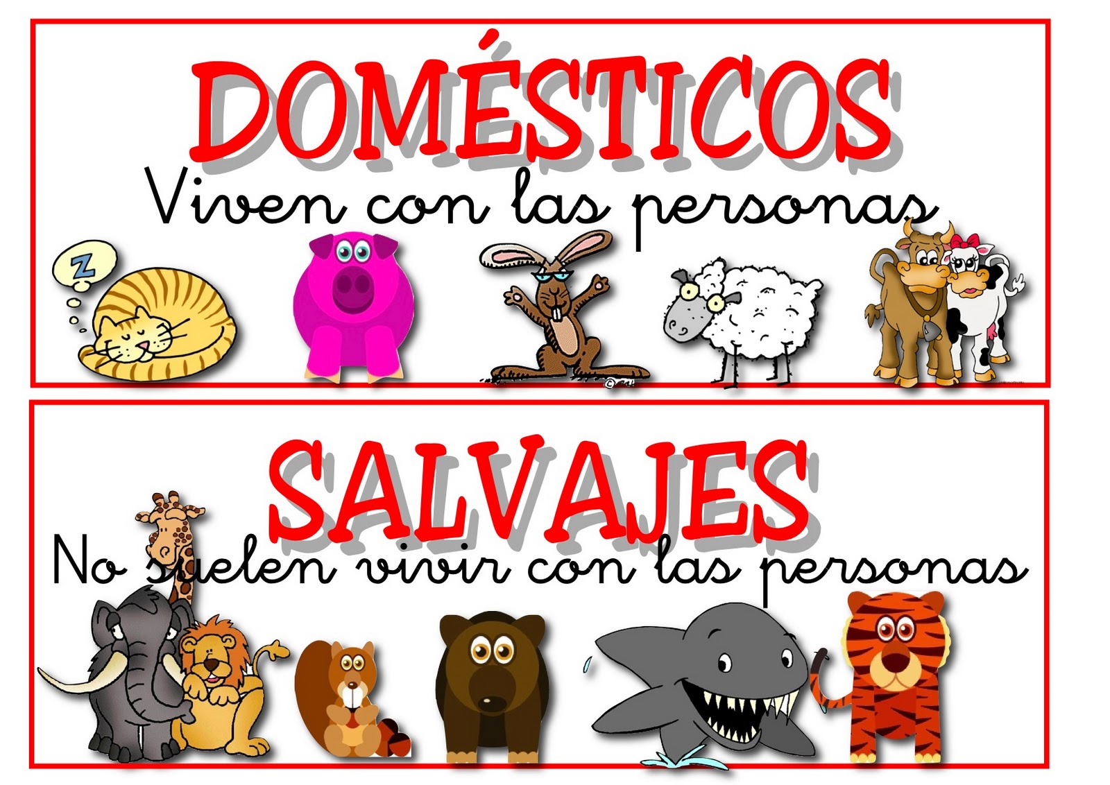 Los Animales: Contenido