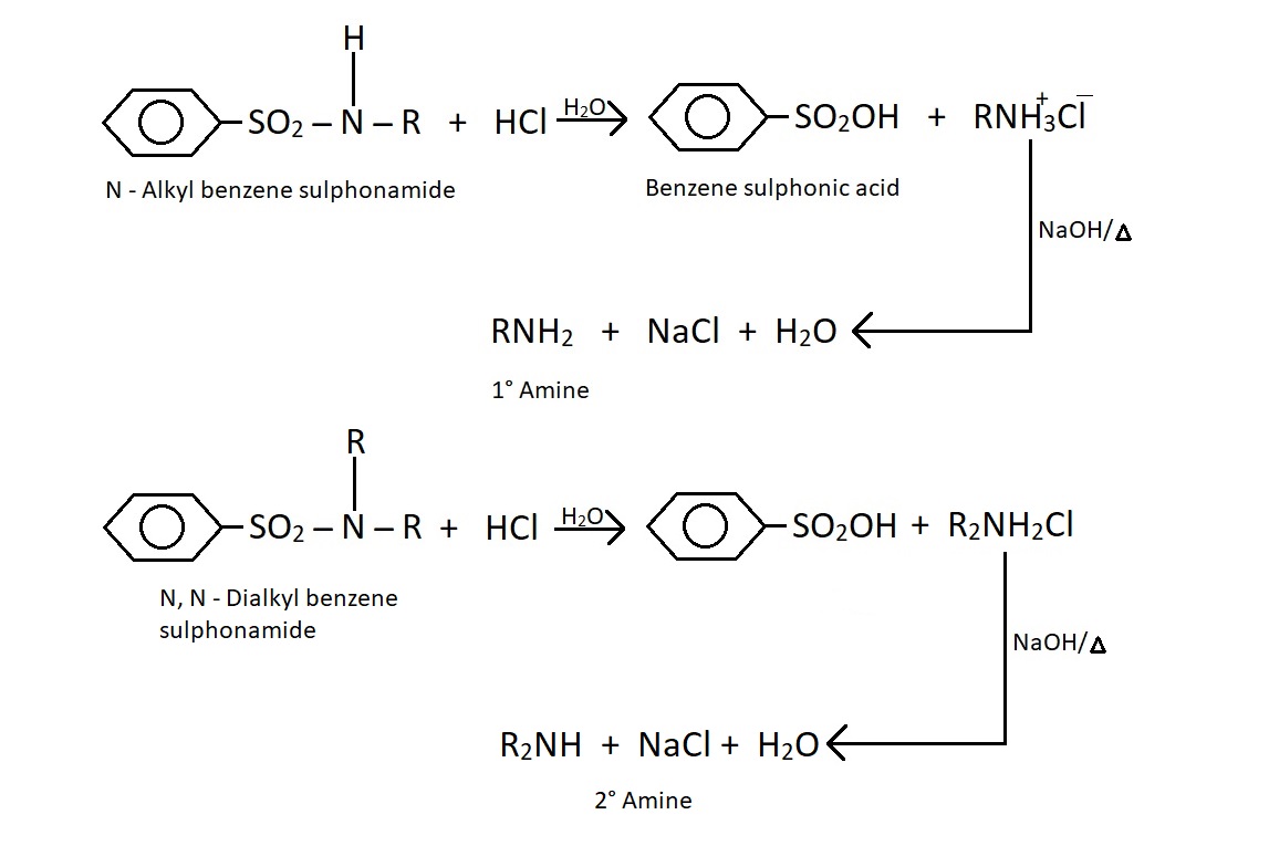 Hinsberg method (Separation of amines) - Organic Chemistry