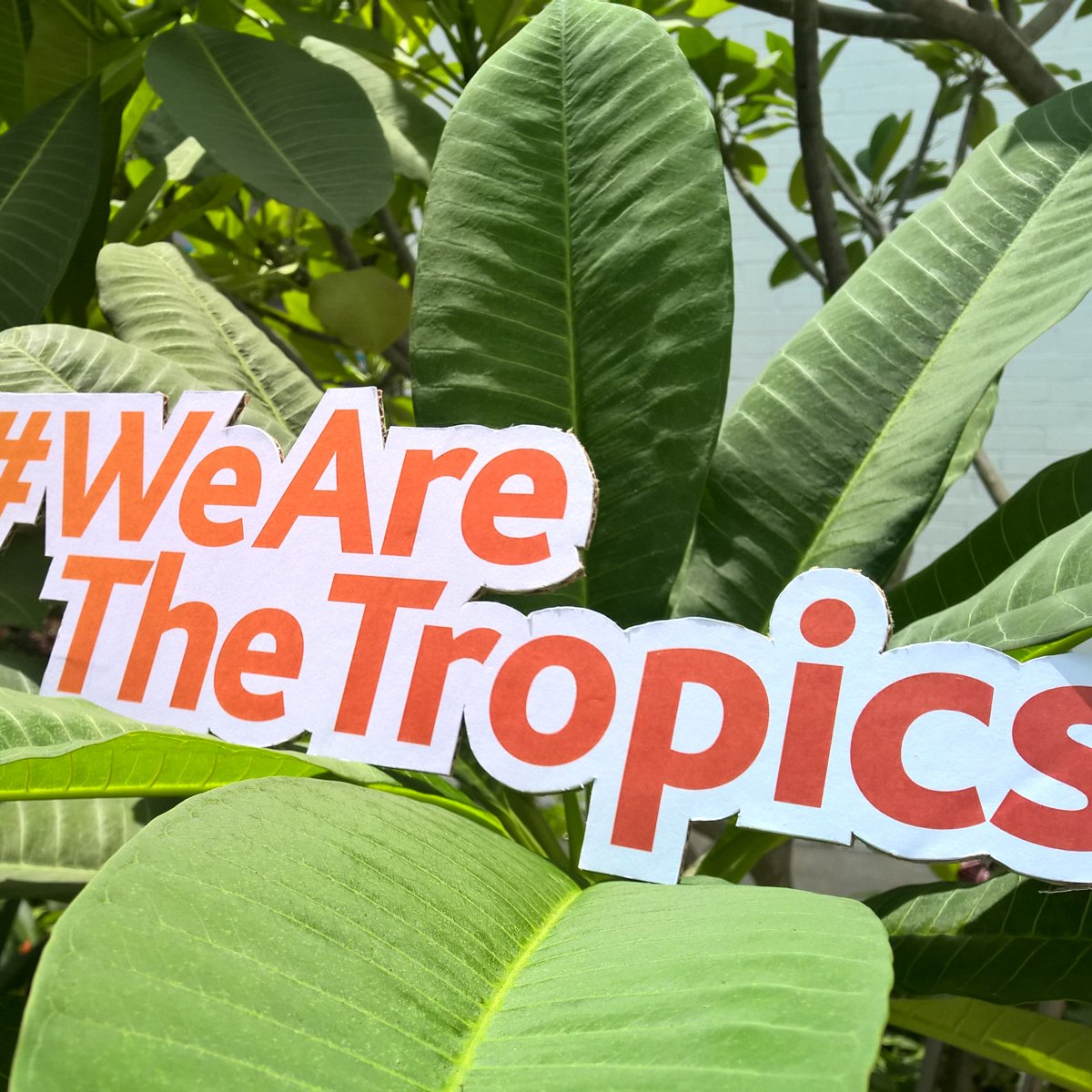 Every Day Is Special: June 29 - International Day of the Tropics