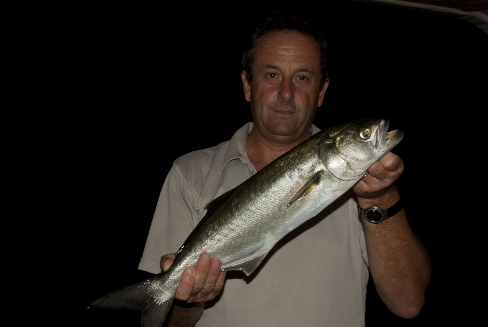 Pescando en la Bahía de Palma: Tallahams - saboga
