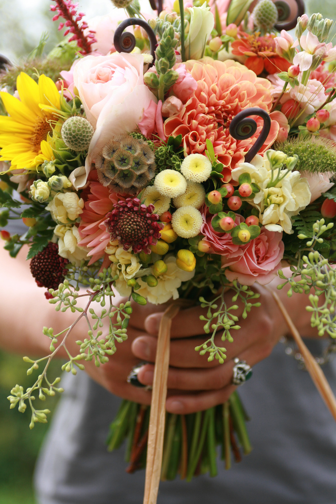 paradis express: Floret Organic flower farm