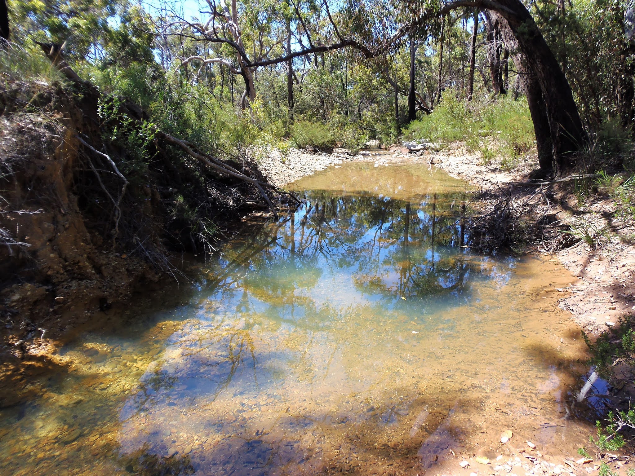 Goin' Feral One Day At A Time: First Arrow Camping Cave to Stirling ...