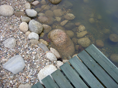 Jardim Autóctone: Construção de um charco/lago