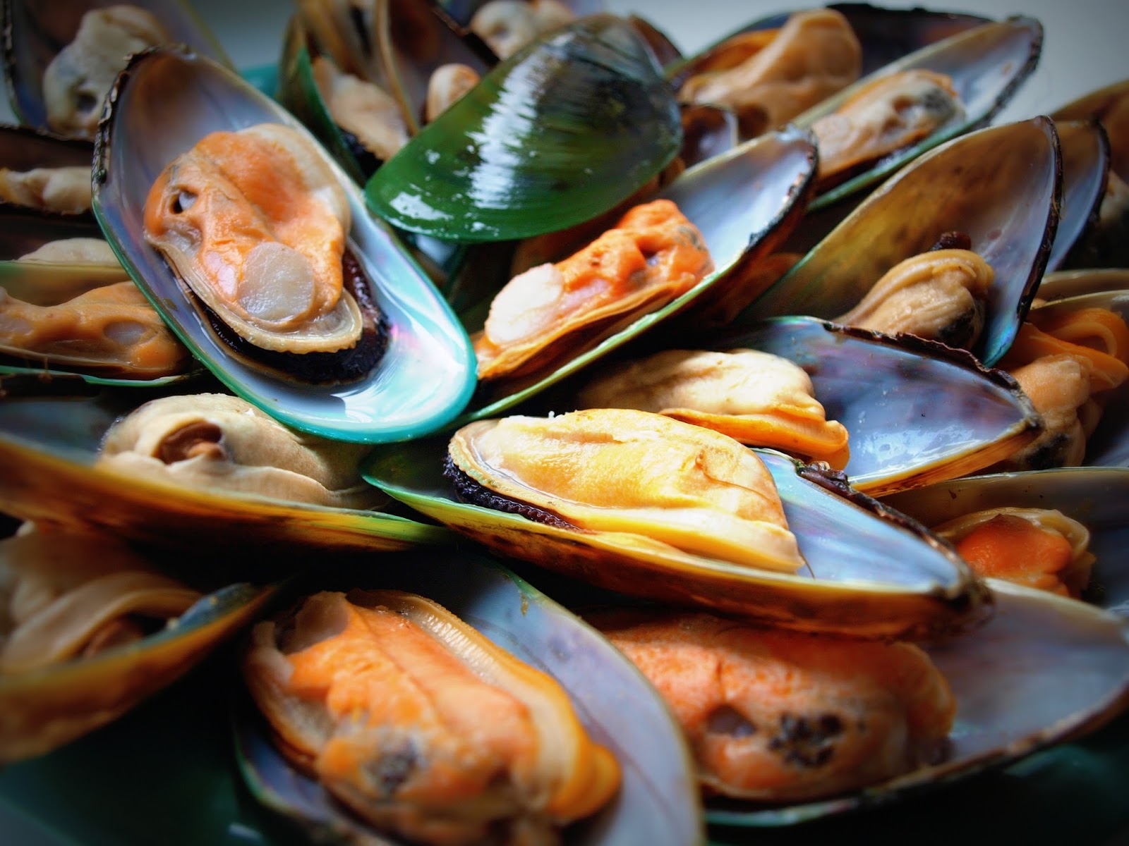 Merhaba: Midye Dolma veya Dolmama, işte bütün mesele bu!