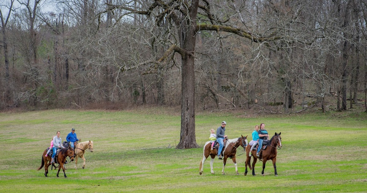 The Hamilton Highlights: Horseback Riding in Broken Bow