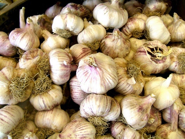 Lin's Isle of Wight Walking Blog: Walk 19 Isle of Wight Garlic Farm