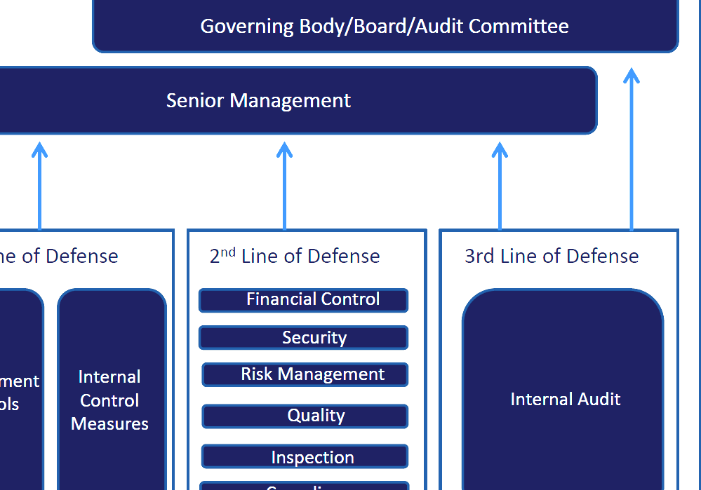 Institute Of Internal Auditors