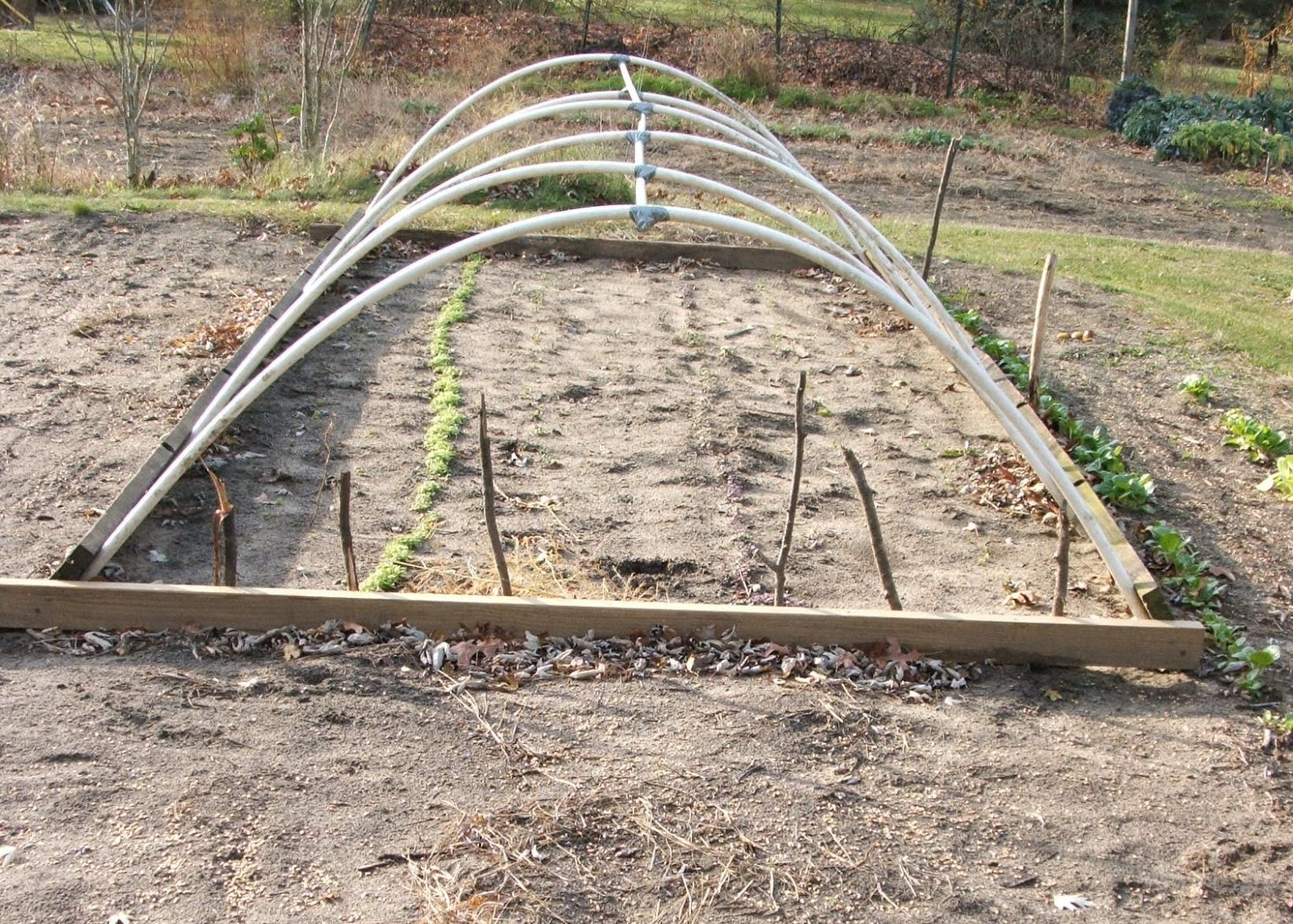 God's Growing Garden: Building a Backyard Hoop House