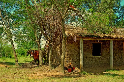 El GAUCHOGUACHO: Desde el alero