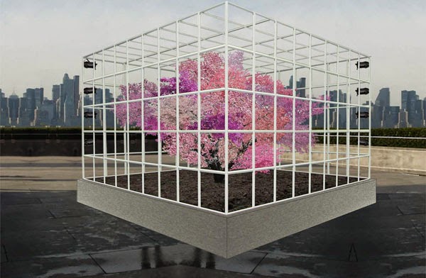 To Infinity And...In Theory: The Tree of 40 Fruit: Nature + Science = Art!