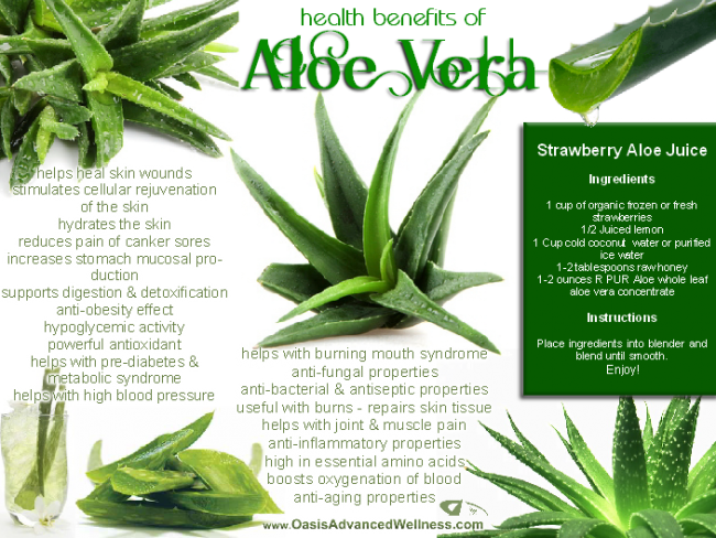 Health & nutrition tips: Health benefits of aloe vera