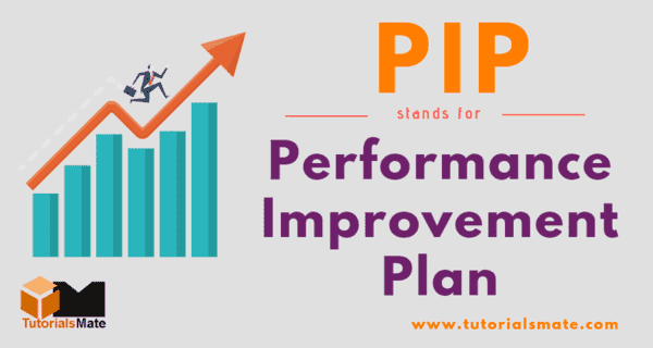 PIP Full Form: What is the meaning of PIP? - TutorialsMate