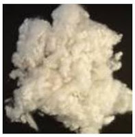 BeUniqueStyle: Bears/Doll & Fiber Fill/Kapas