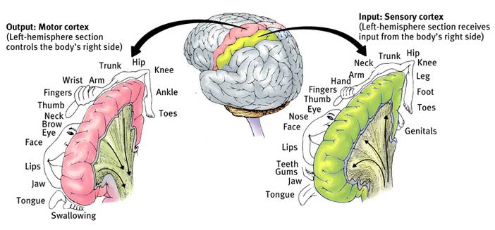 StileLibero Academy: 2016