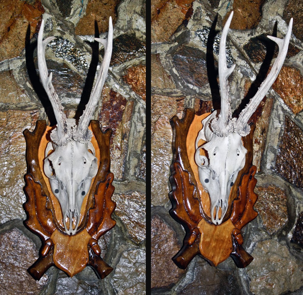 panoplii de vanatoare: panoplii caprior