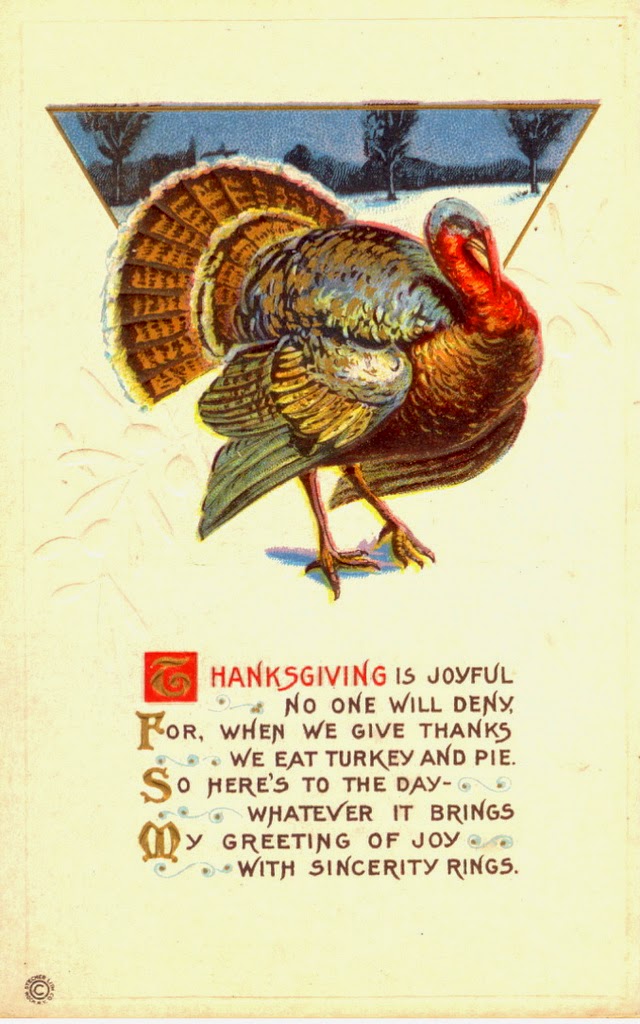 25 Colorful Vintage Thanksgiving Turkey Postcards ~ Vintage Everyday