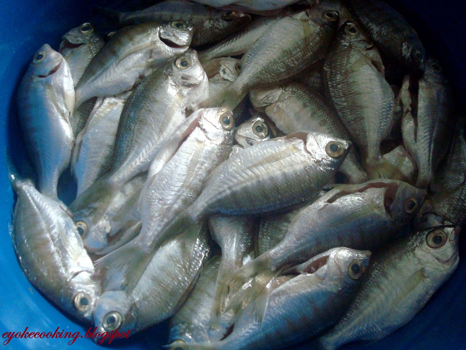 Simply Delicious Easy Cooking: Let's Make Bosou-Step by Step