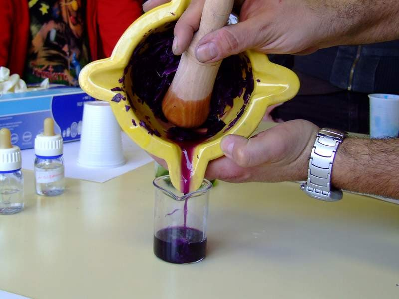 LA TRASFORMACIÓN DE LOS MATERIALES: ÁCIDOS Y BASES: ¿LA COL MORADA ES ...