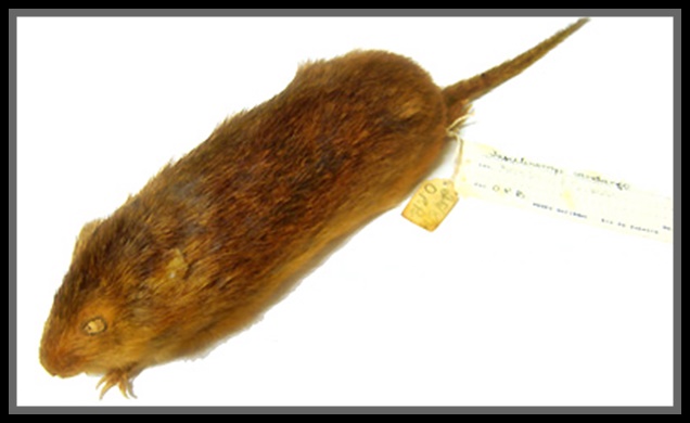 Beszamel i spółka bez ograniczeń: października 2015