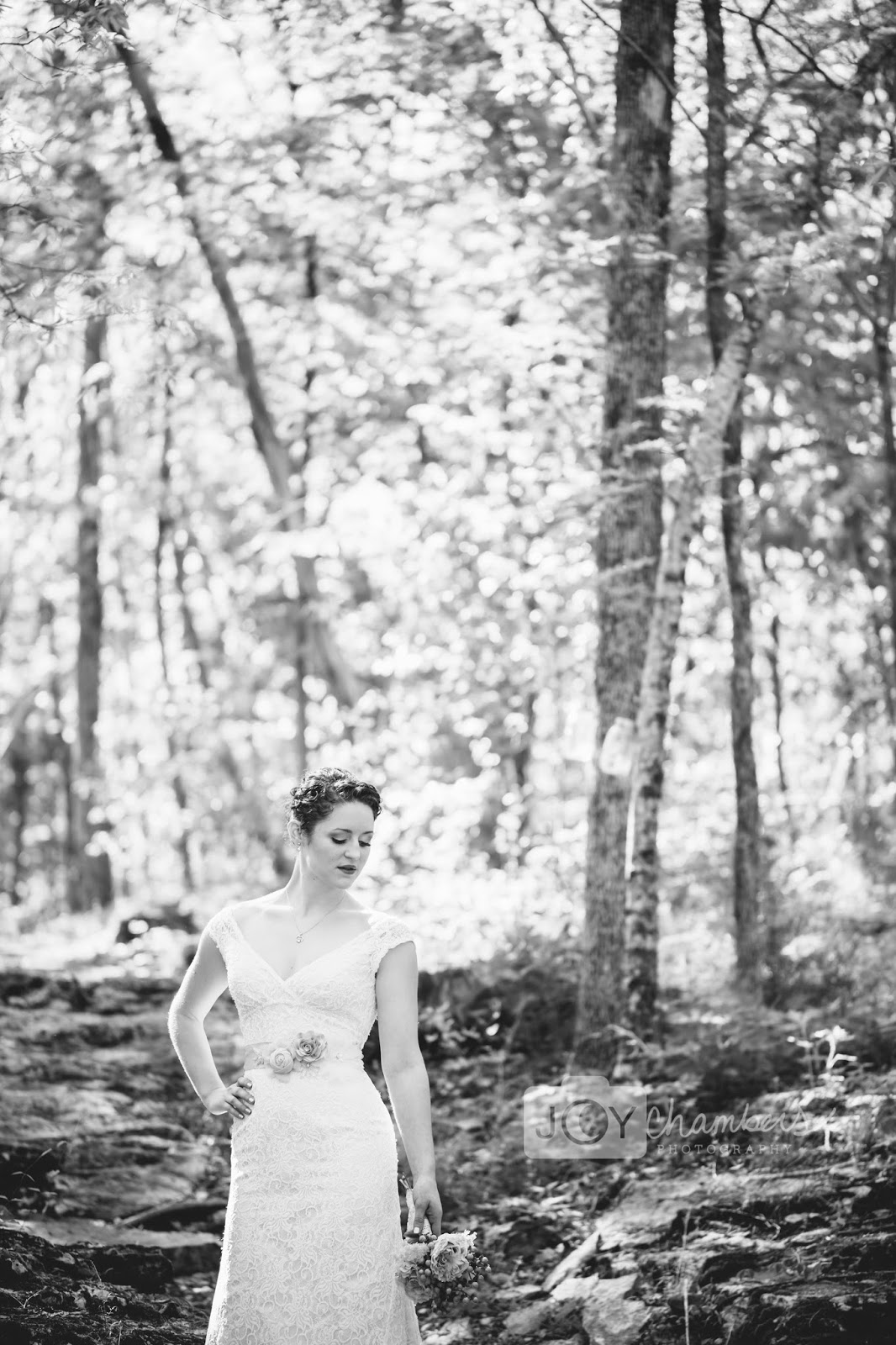 Joy Chambers Photography: Lizzy + Kieran | The Wren's Nest ...