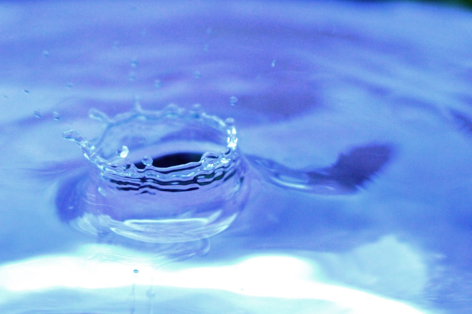 Unit 1 Photography: Fast Shutter Speed