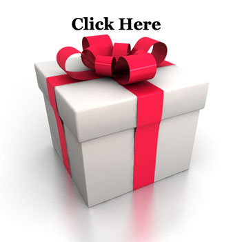 Have Fun Or Die Trying: Grab your gift now