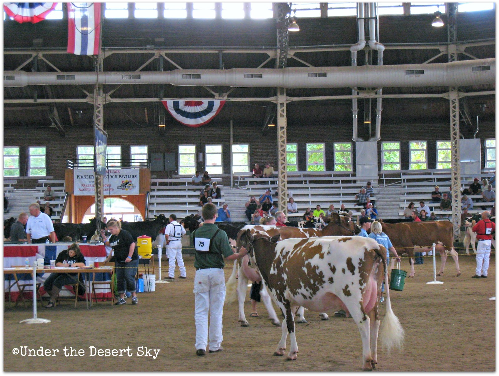 Under the Desert Sky: Barn Charm - At the Iowa State Fair