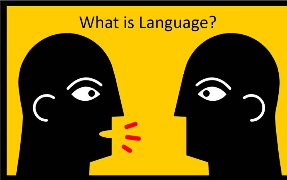 What is The Language? - English Grammar A To Z