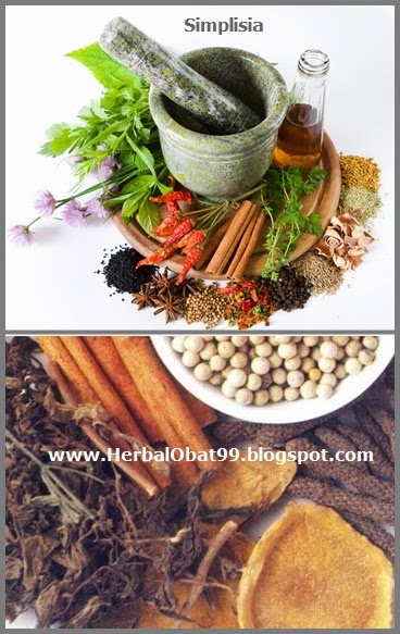 Mengenal Lebih Dekat Tentang Simplisia | Manfaat Herbal Untuk Kesehatan