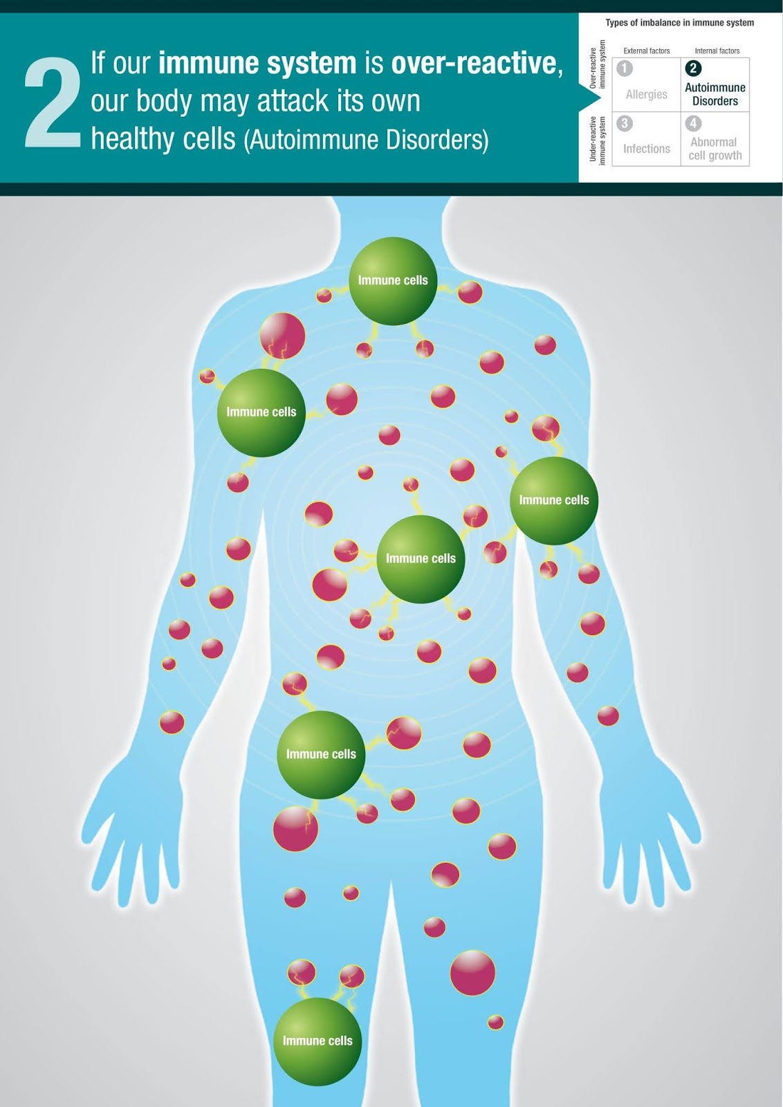 Distributor Elken Indonesia - ielken indonesia