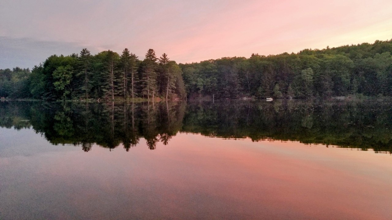 Guest Blog: Adventures at Half Moon Pond State Park