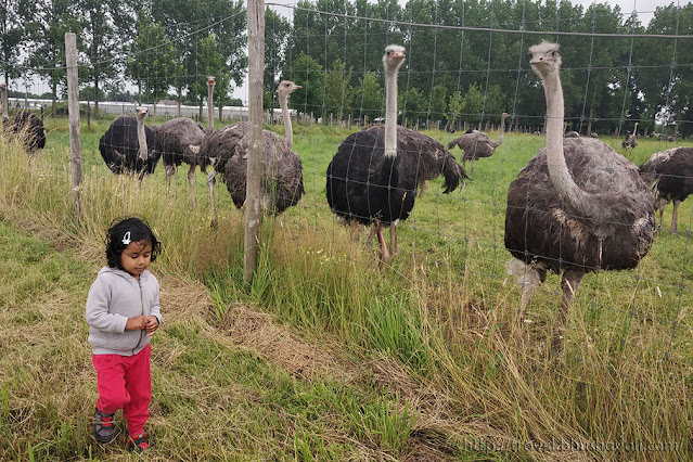 Top 5 things to do in Lier (Flanders - Belgium) | My Travelogue ...