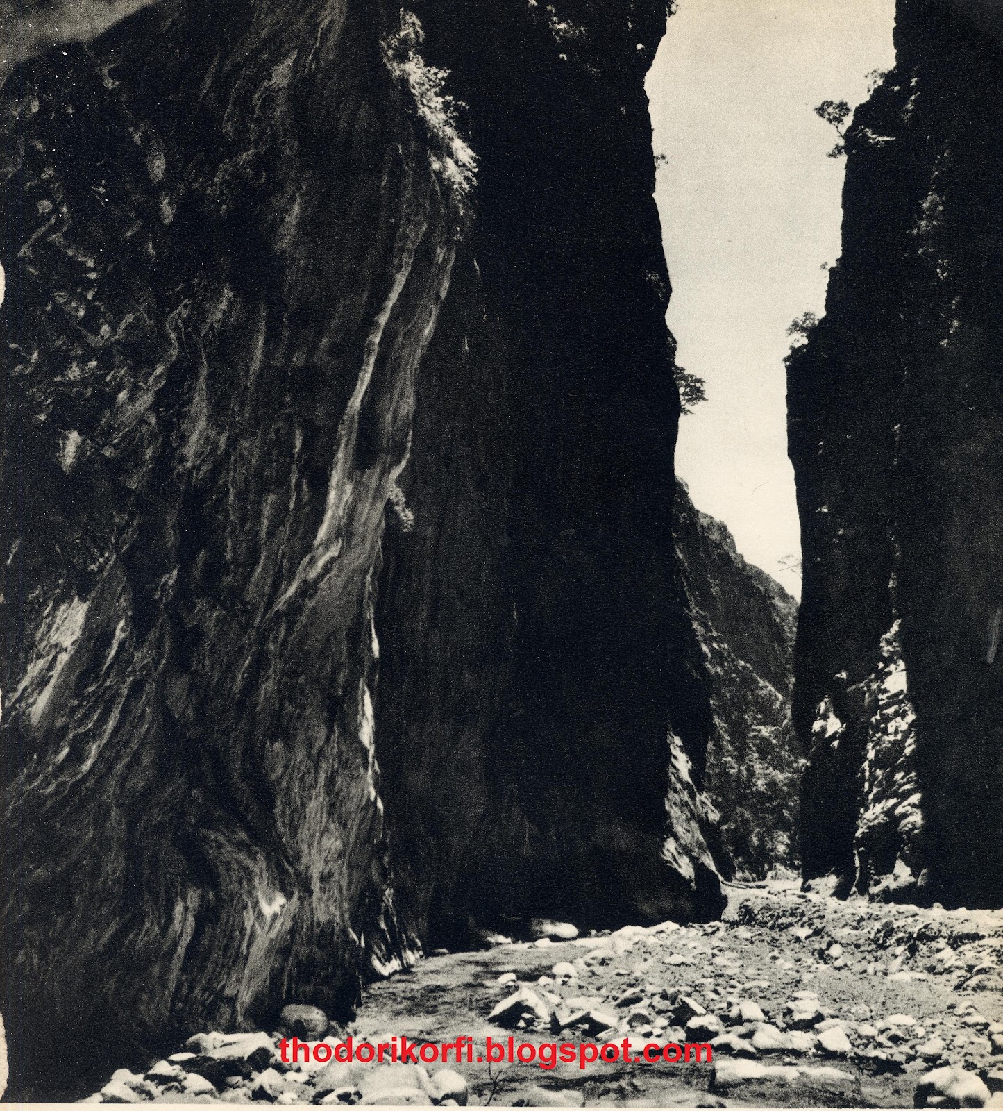 ΜΑΔΑΡΑ: CLAUDE DERVENN, ΣΦΑΚΙΑΝΕΣ ΦΩΤΟΓΡΑΦΙΕΣ