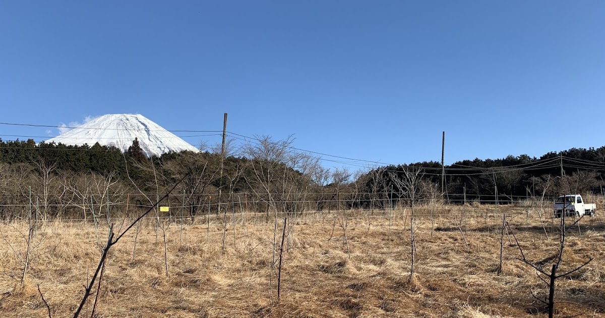 Food Forest Japan フード・フォレスト・ジャパン