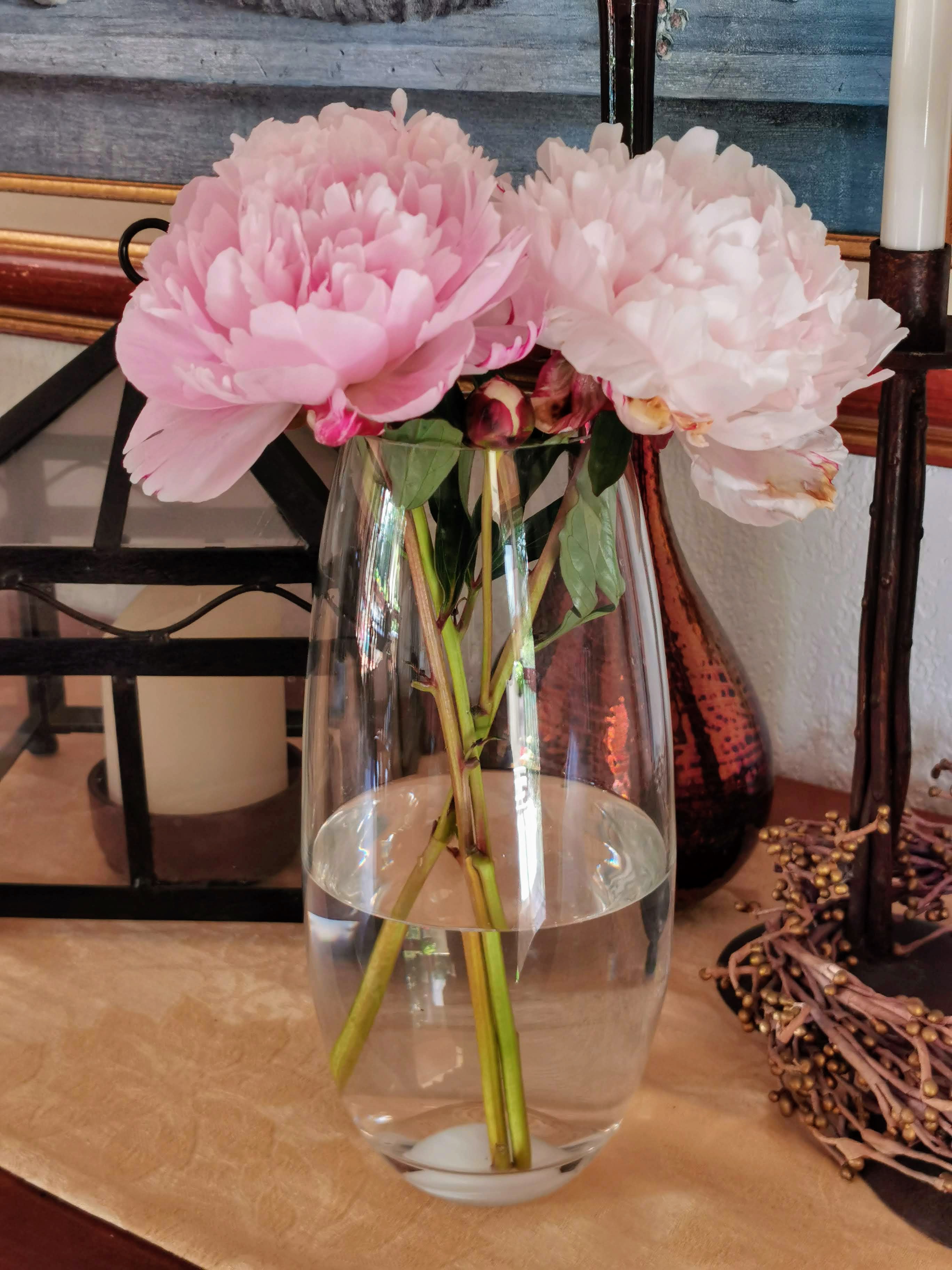 Beautiful French Peonies | Paperesse